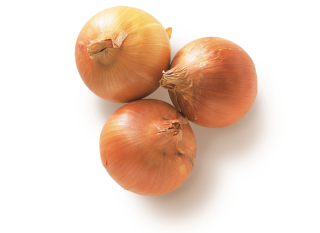 Hobart HT Series Scales