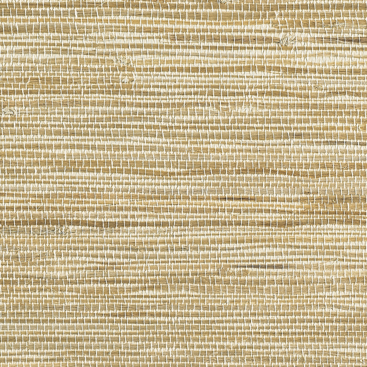 Juicy Jute in Bleach | Phillip Jeffries