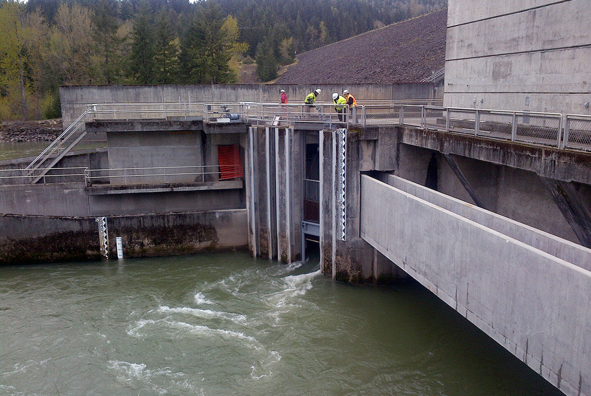 New Adult Fish Facility Opens Oregon’s South Santiam Basin to ...