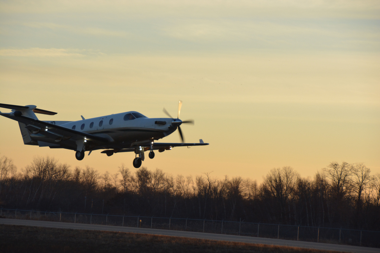 Pilots Help Turtles Take Flight | NOAA Fisheries