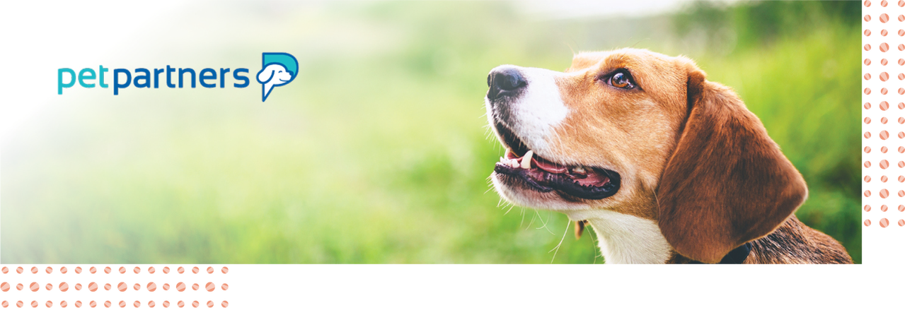 Ullico Select - Pet Insurance