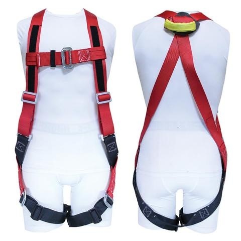 BUCKINGHAM HARNESSES