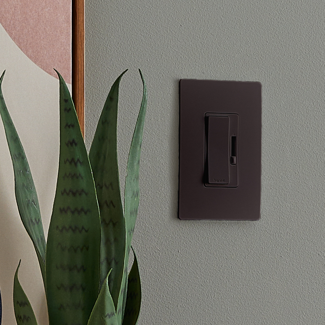 radiant® LED Advanced Dimmer Dark Bronze | Legrand