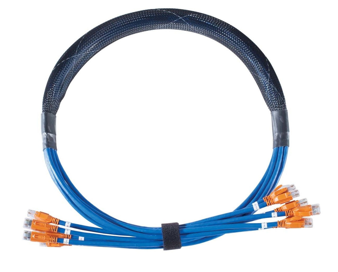 SNAP PRE-TERM, CAT5E, 6 CABLE PLENUM, 5', BLUE, MESH WRAP ASSEMBLY, NO ...