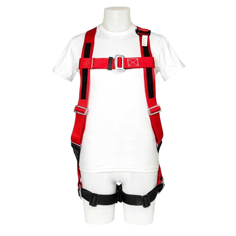 BUCKINGHAM HARNESSES