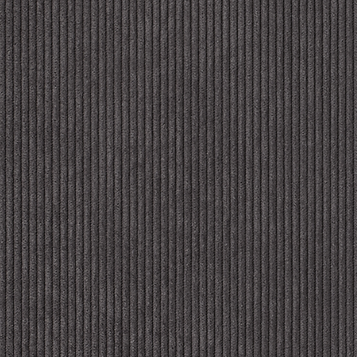 Corduroy Cloth in Charcoal Jacket | Phillip Jeffries