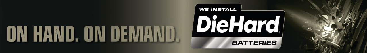 Batteries & Rotating Electrical | Advance Professional