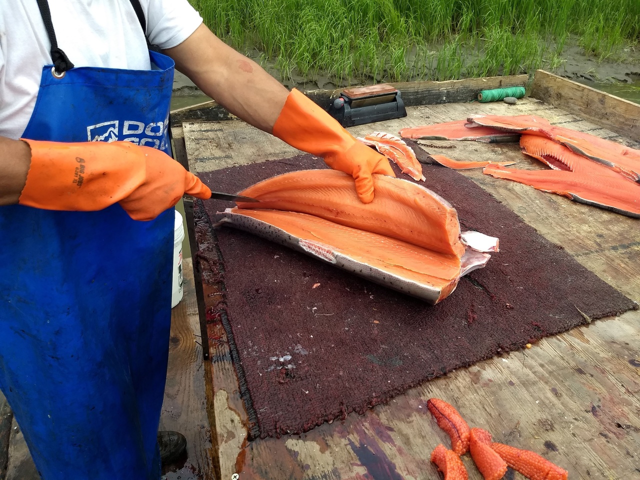 Importance of Alaska Subsistence Salmon Harvest | NOAA Fisheries