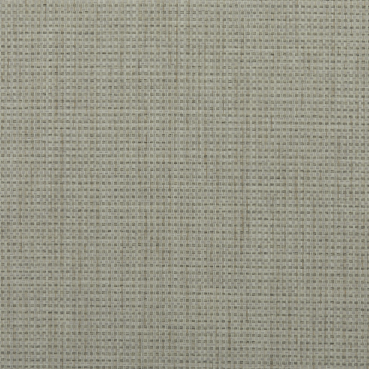 Serengeti Weave in Mara Grey | Phillip Jeffries