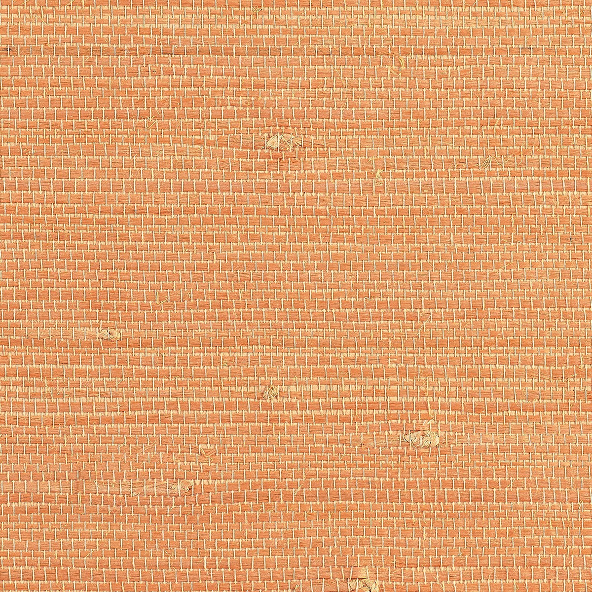 Juicy Jute in Florida Orange | Phillip Jeffries