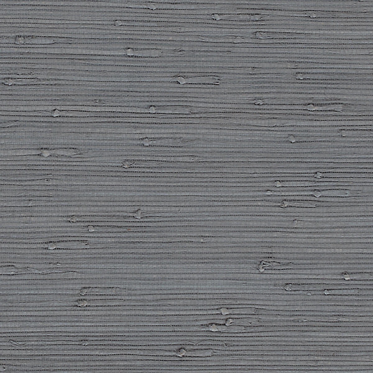Gallant Grasses in Silver Squire | Phillip Jeffries