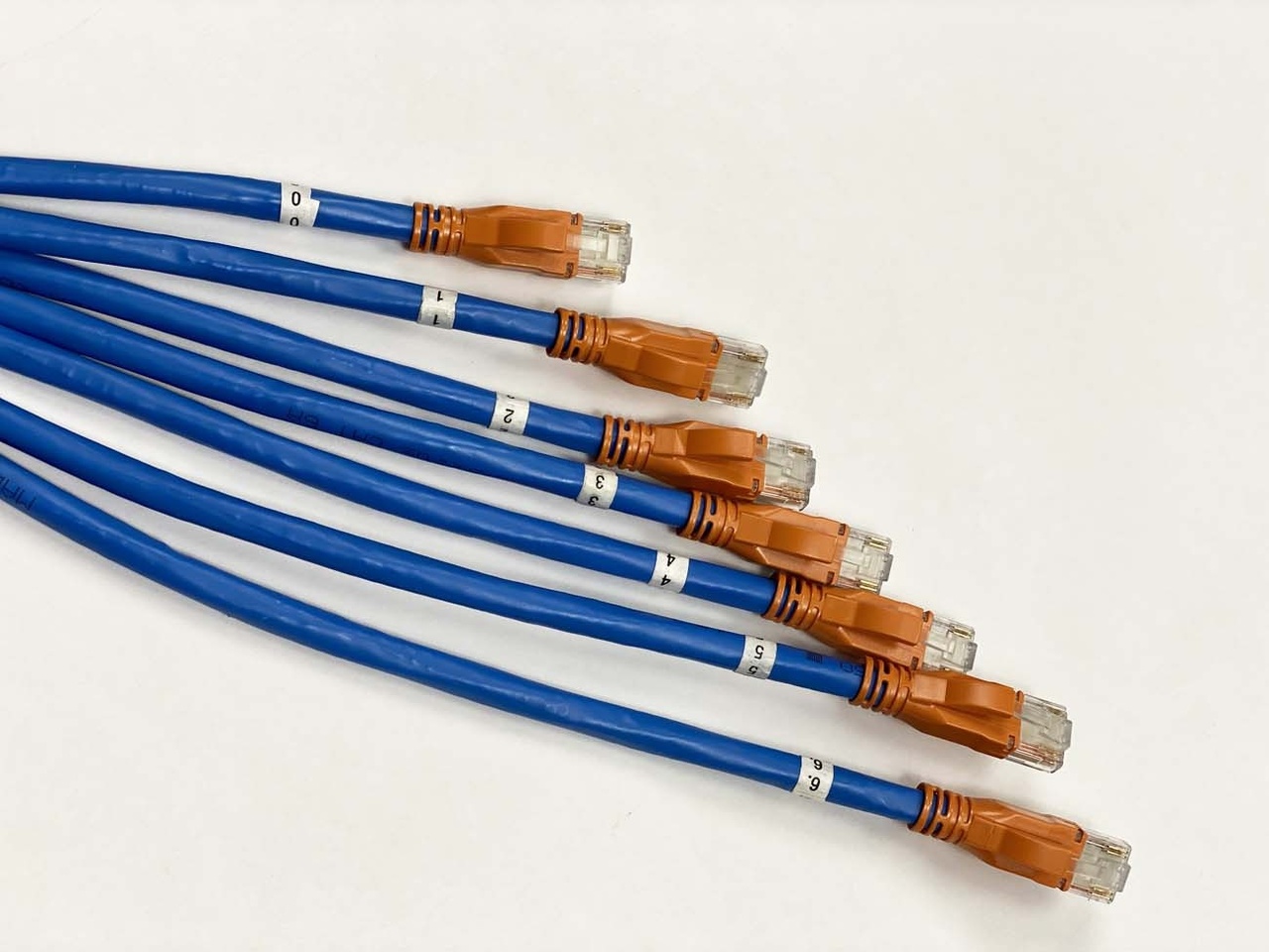 SNAP PRE-TERM, CAT6A, 6 CABLE RISER, 50', BLUE, MESH WRAP ASSEMBLY ...