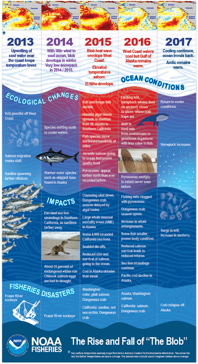 Looking Back at The Blob - Chapter 2: Marine Heat Wave Intensifies “Completely Off the Chart ...