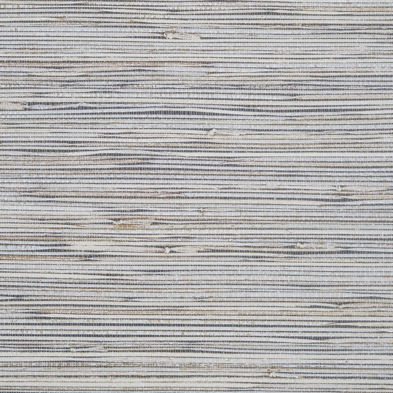 Shoreline Grass in White Cliff | Phillip Jeffries