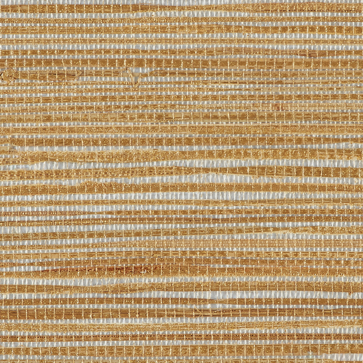 Shoreline Grass in Mid-Day Shimmer | Phillip Jeffries