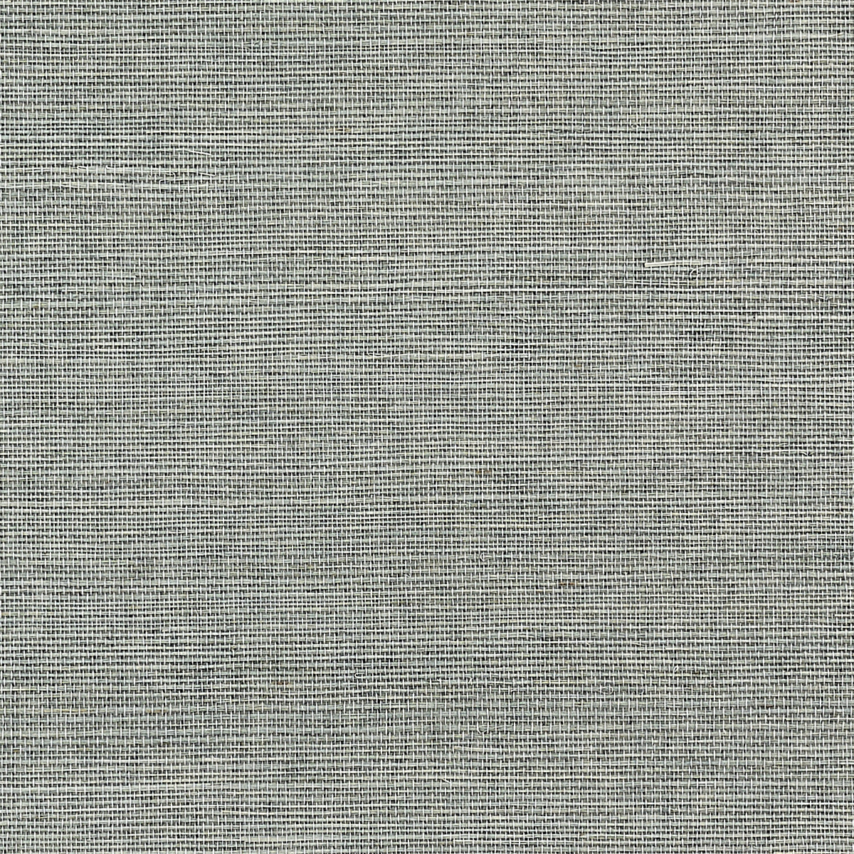 Manila Hemp in Feathered | Phillip Jeffries