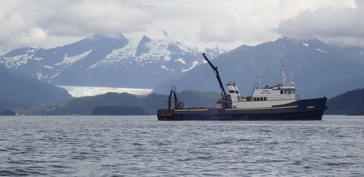 Annual Study of Salmon in Southeast Alaska - Post 2 | NOAA Fisheries