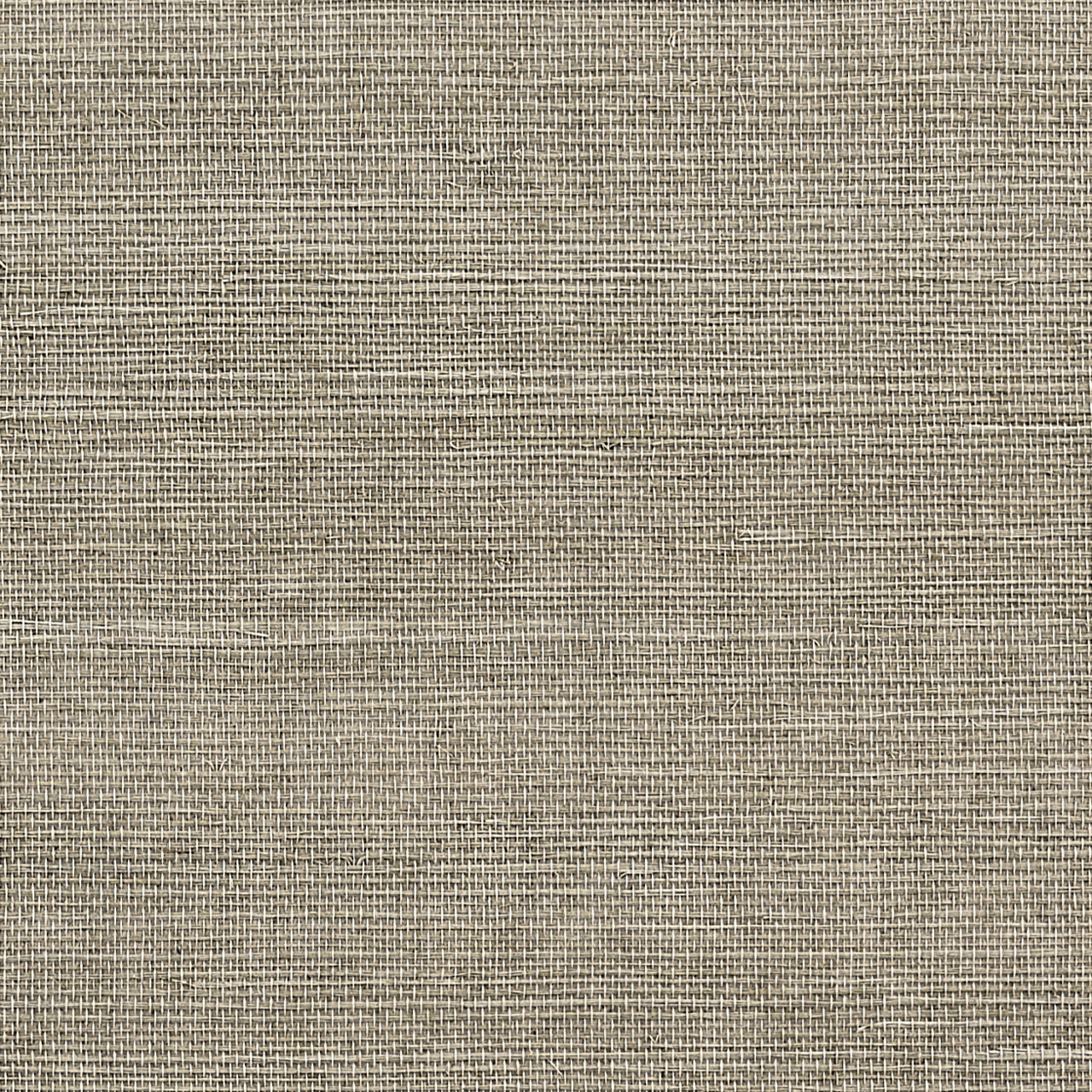 Manila Hemp in Shadow | Phillip Jeffries