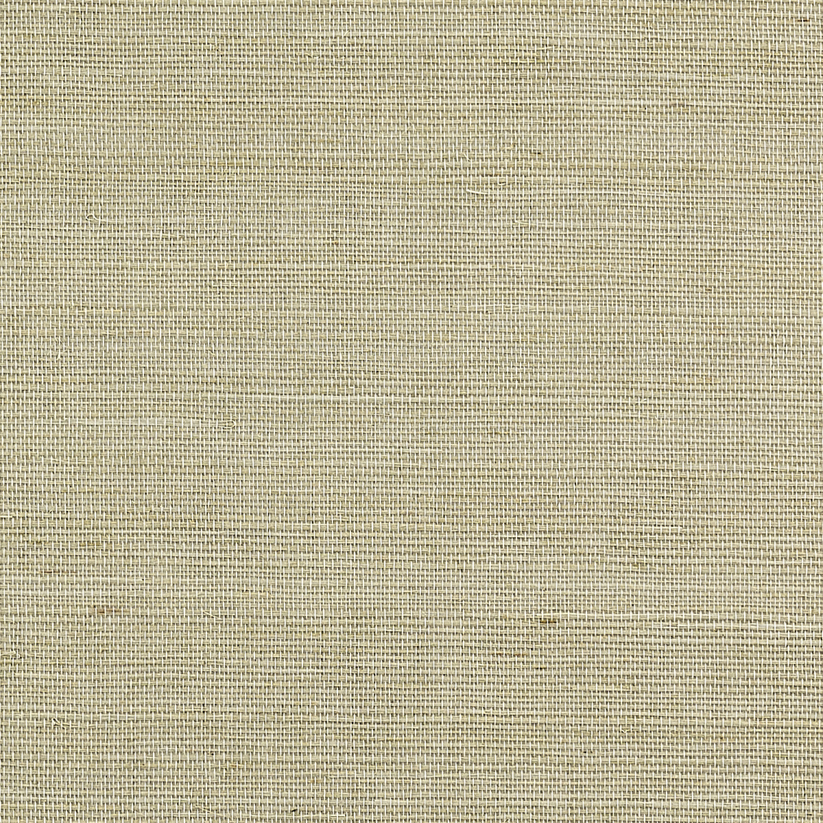 Manila Hemp in Hint Of Mint | Phillip Jeffries