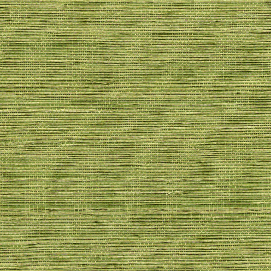 Manila Hemp in Grass Green | Phillip Jeffries