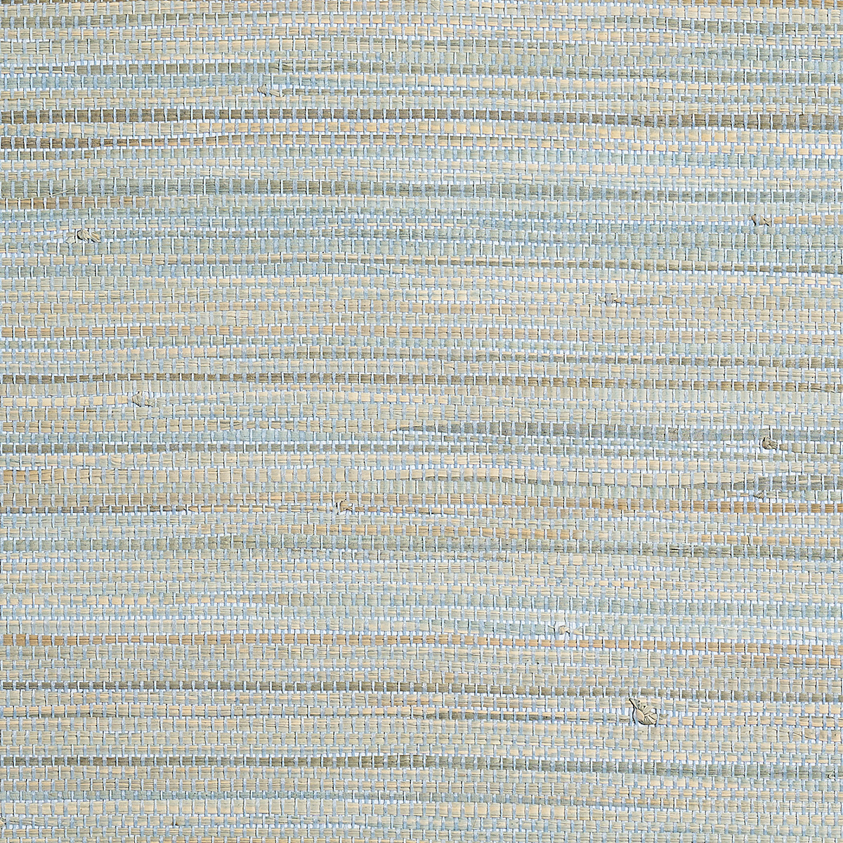 Coastline Grass in Pool Blue | Phillip Jeffries
