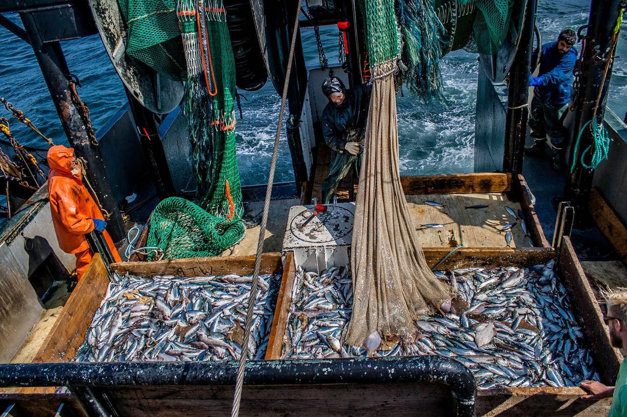You Can Learn A Lot by Towing Two Nets at Once | NOAA Fisheries