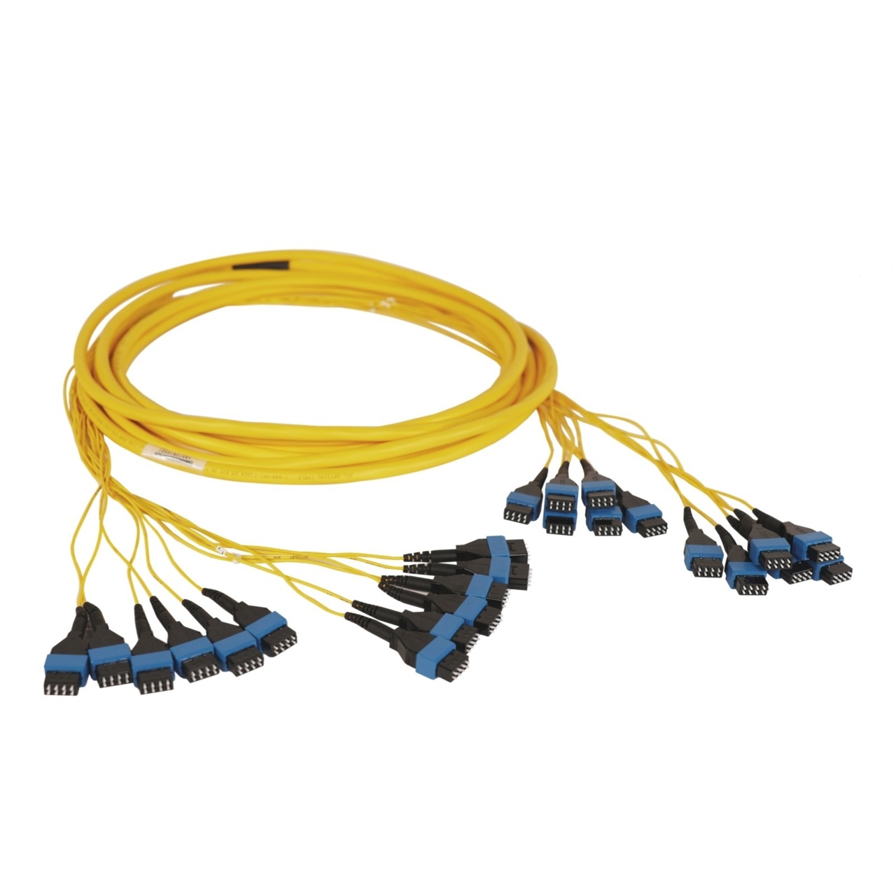 CORE acclAIM Trunk, Plenum, 96 Fiber, OS2, AIM-AIM, 10 Meters