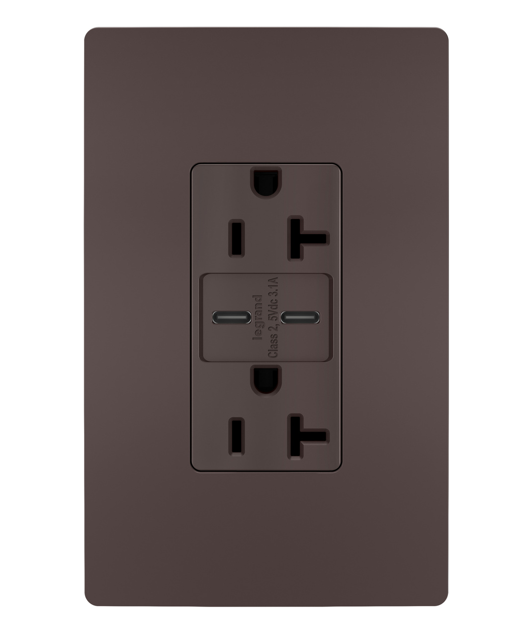 20A 125V Tamper-Resistant Duplex Receptacle with USB C/C Charging Ports ...