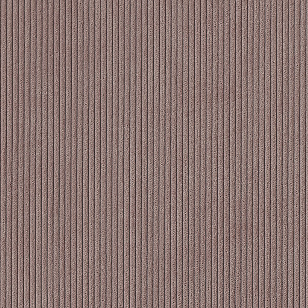 Corduroy Cloth in Pinwale Pink | Phillip Jeffries