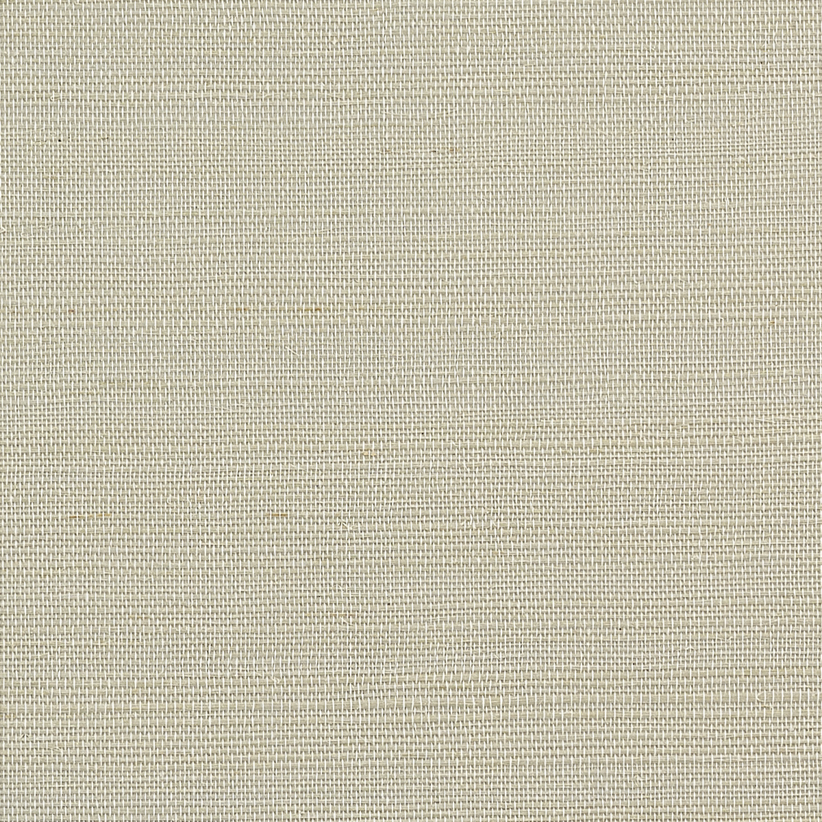 Manila Hemp in Ivory | Phillip Jeffries