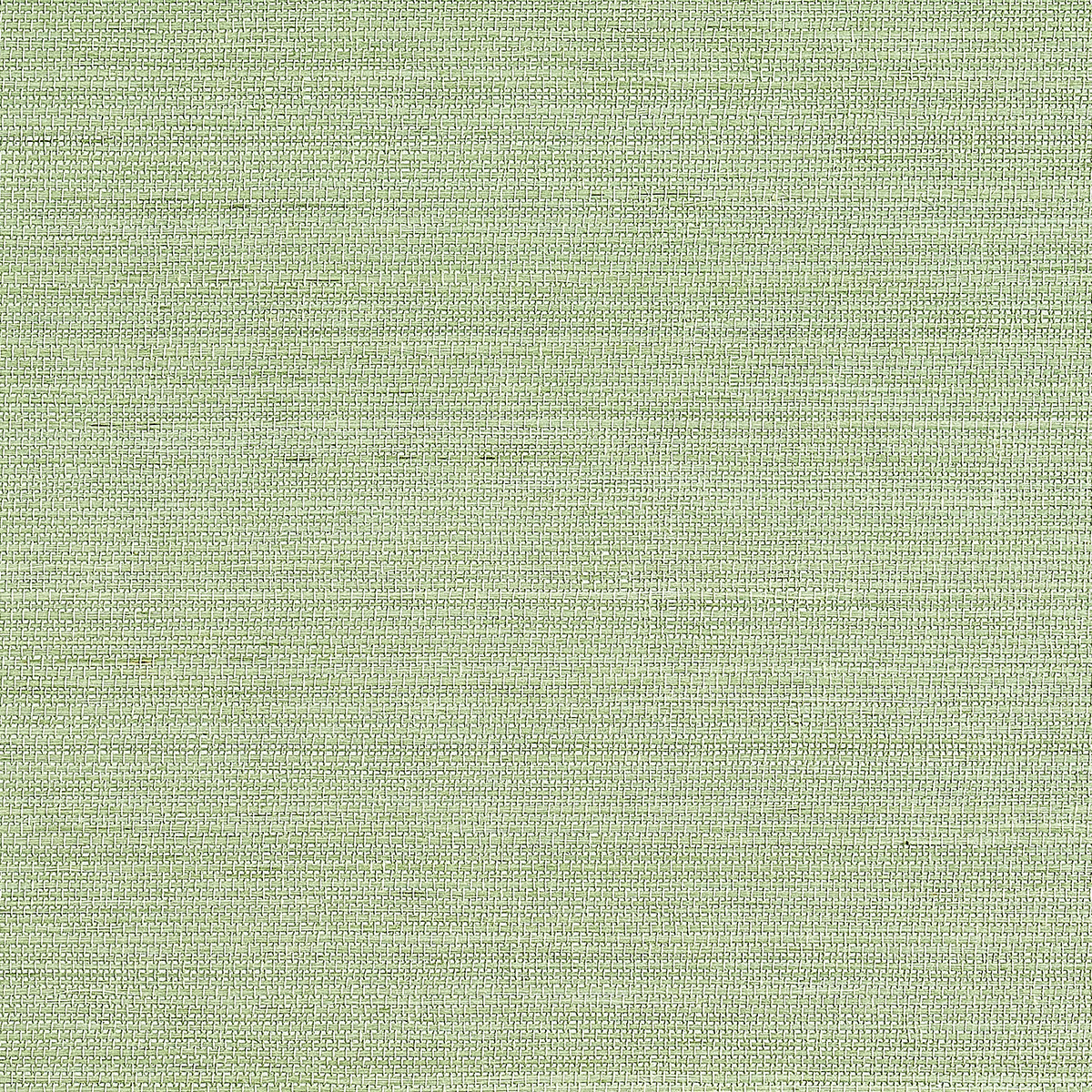 Manila Hemp in Honeydew | Phillip Jeffries