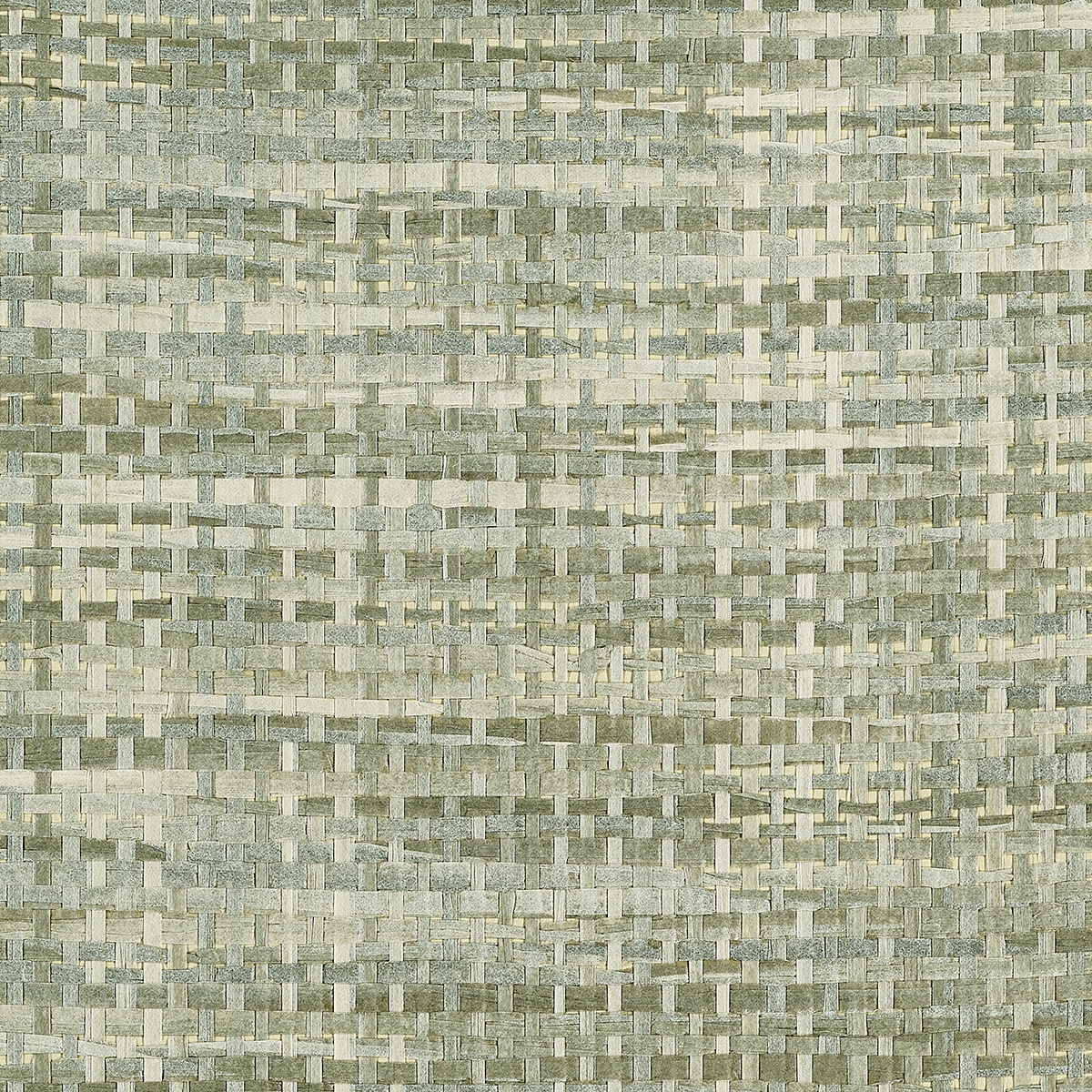 Driftwood in Sage Green | Phillip Jeffries