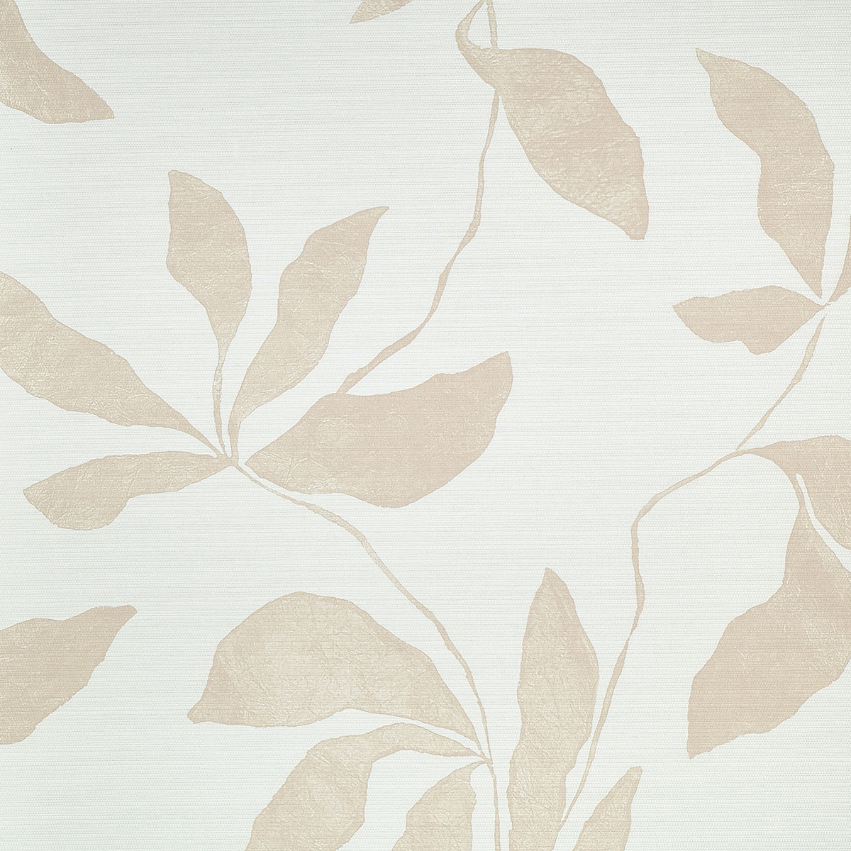 Desert Ivy in Blush Haze on Woven Walls | Phillip Jeffries