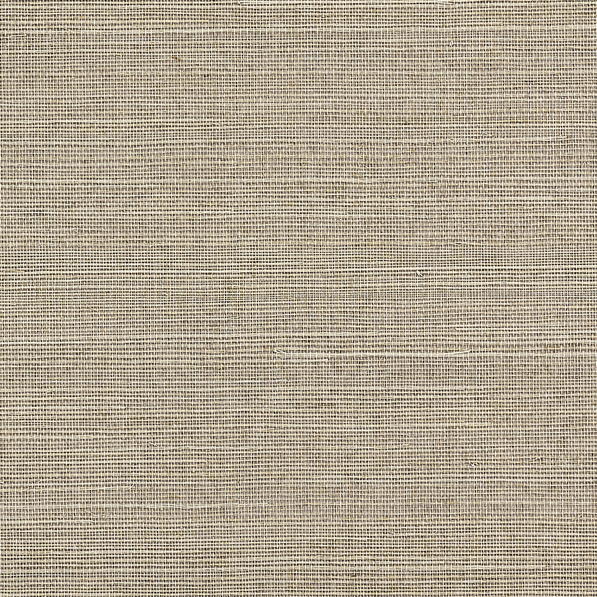 Manila Hemp in Fade | Phillip Jeffries