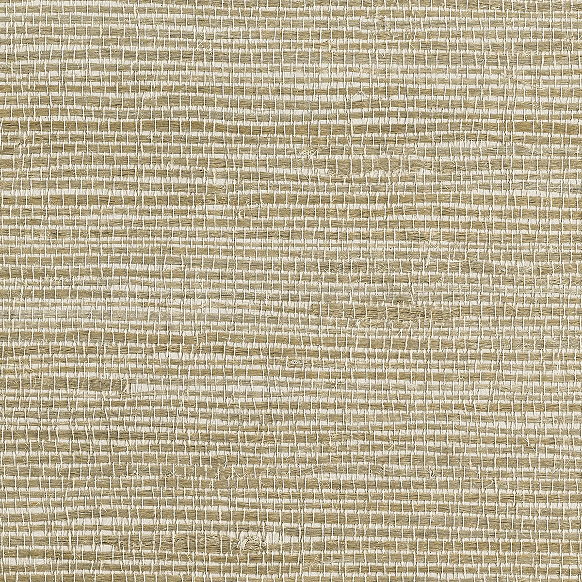 Juicy Jute in Buckwheat Bundle | Phillip Jeffries