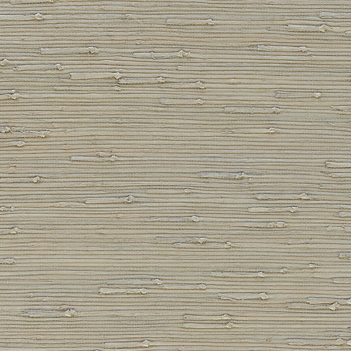 Gallant Grasses in Clay Castle | Phillip Jeffries