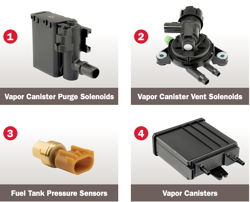 Member CQ EVAP Components