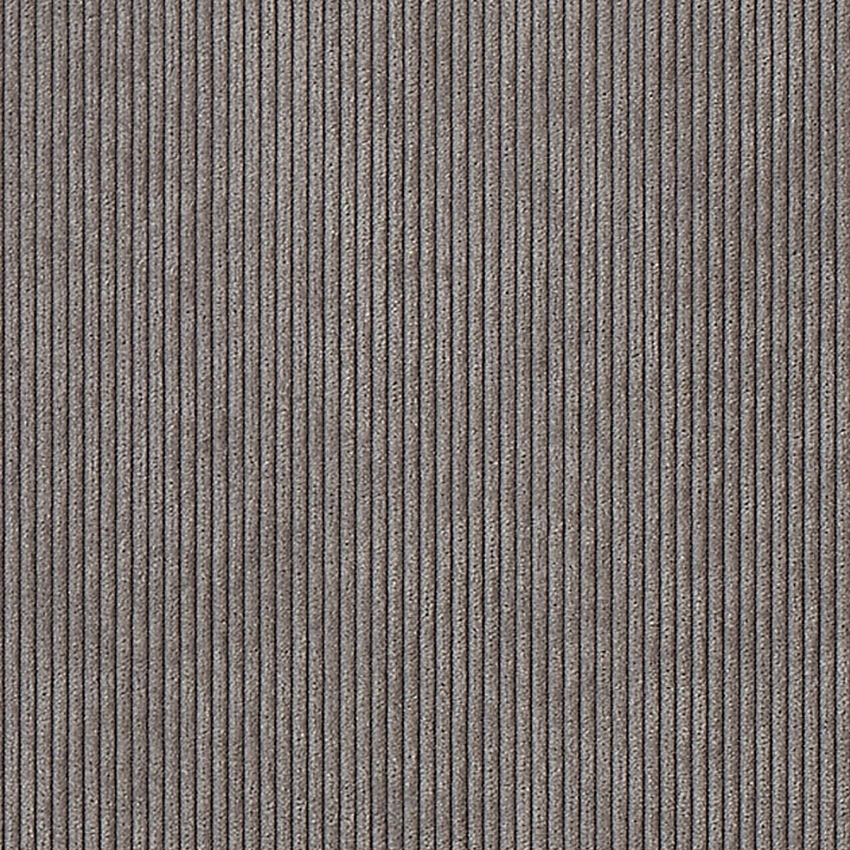 Corduroy Cloth in Grey Goove | Phillip Jeffries