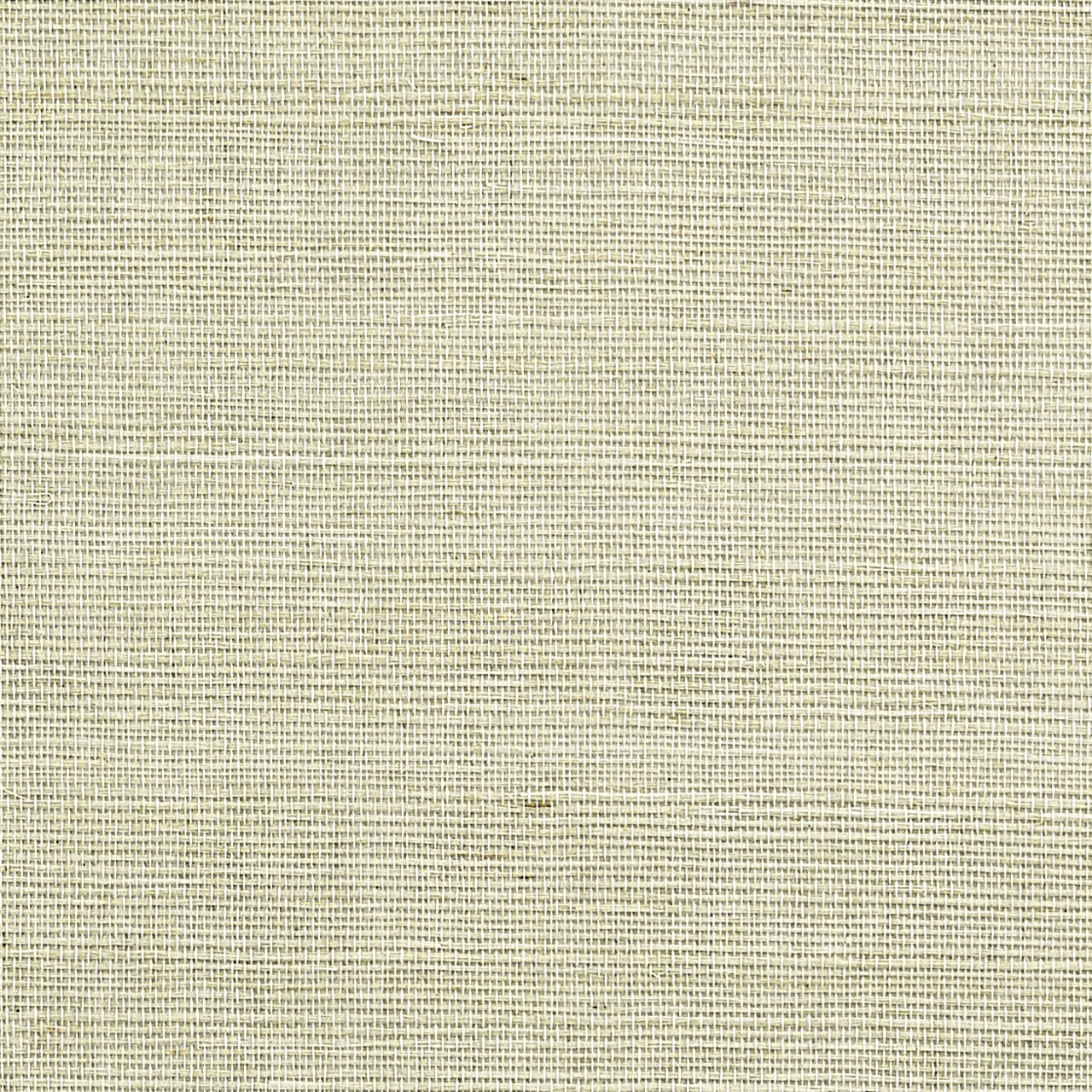 Manila Hemp in Hint Of Mint | Phillip Jeffries