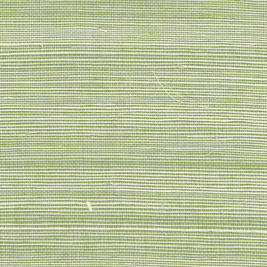Bermuda Hemp in Grass Green | Phillip Jeffries