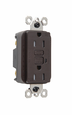 Discontinued - TradeMaster®/Spec Grade Weather-Resistant 15A Duplex ...