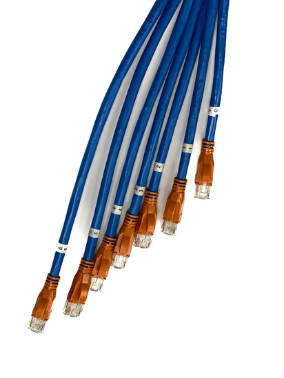 SNAP PRE-TERM, CAT6, 6 CABLE PLENUM, 20', BLUE, SPIRAL WRAP ASSEMBLY ...