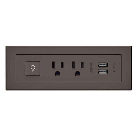 radiant® Furniture Power Center with Power Switch, 2 Outlets and USB ...