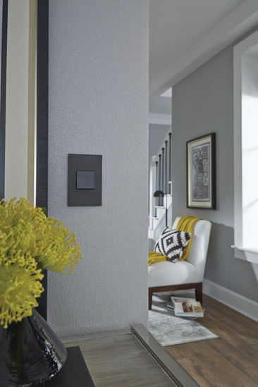 adorne® Satin Black 1-Gang Screwless Wall Plate | Wall Plates | Wiring ...