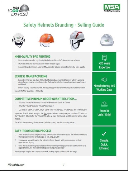 NEW Flyer: all you need to know about MSA LOGO EXPRESS®